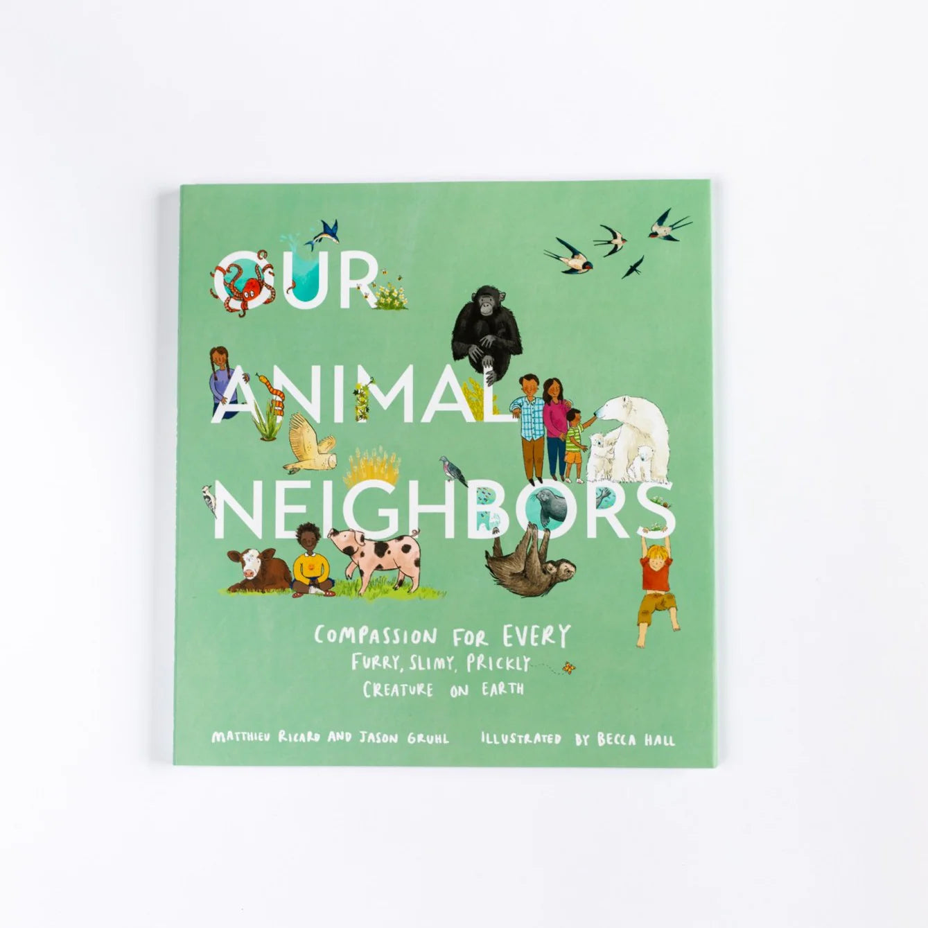 Animal Neighbors . – QUA BOXES